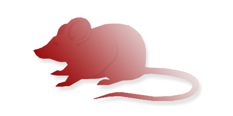 Mouse - Fast Poker Coach